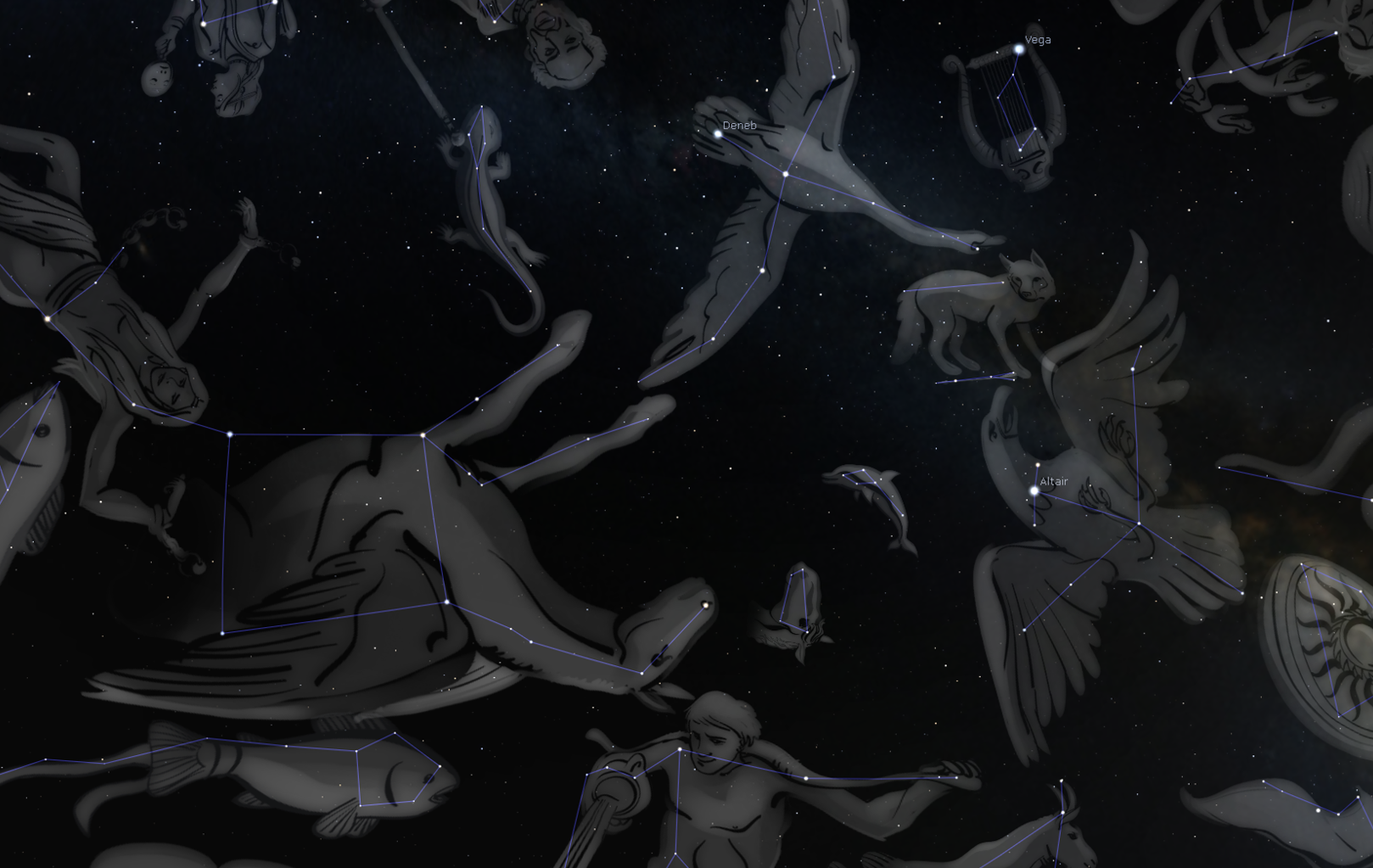 November Sky - Wiley Planetarium